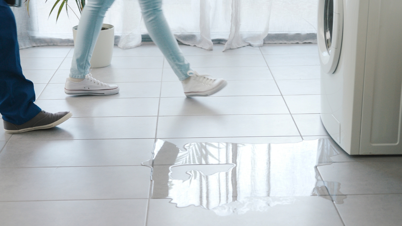 6 Troubleshooting Common Washing Machine Problems with a DIY Fix ...