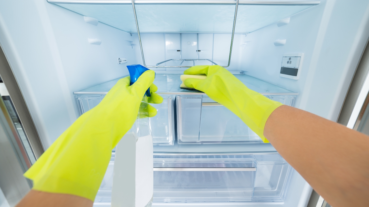 Essential Refrigerator Maintenance for Prolonging Life - Haier India Blog